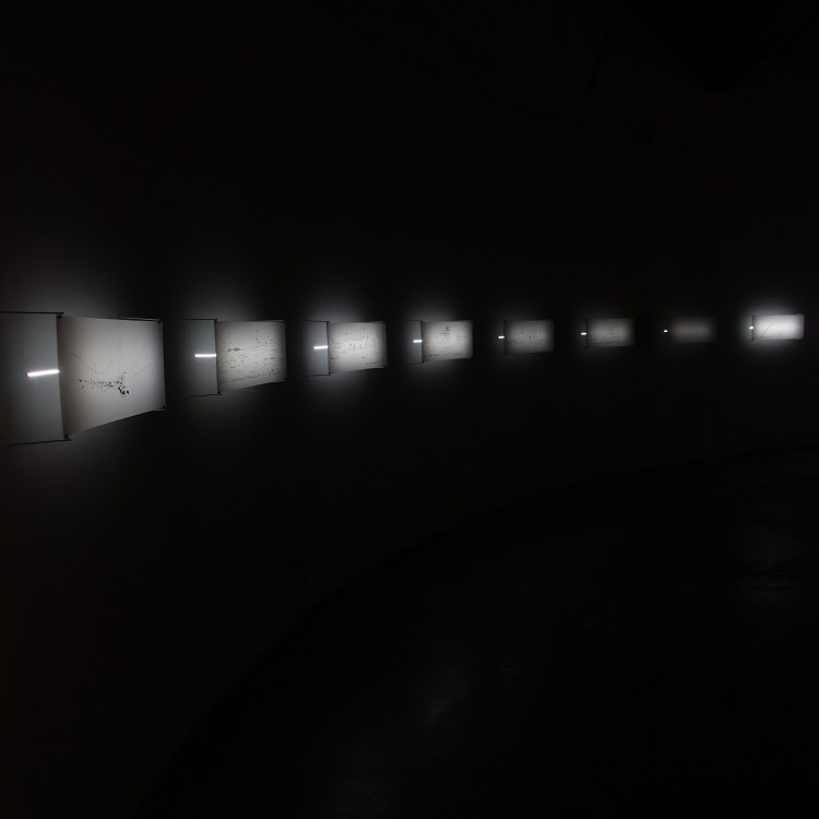 Visual art | Félix-Antoine Morin